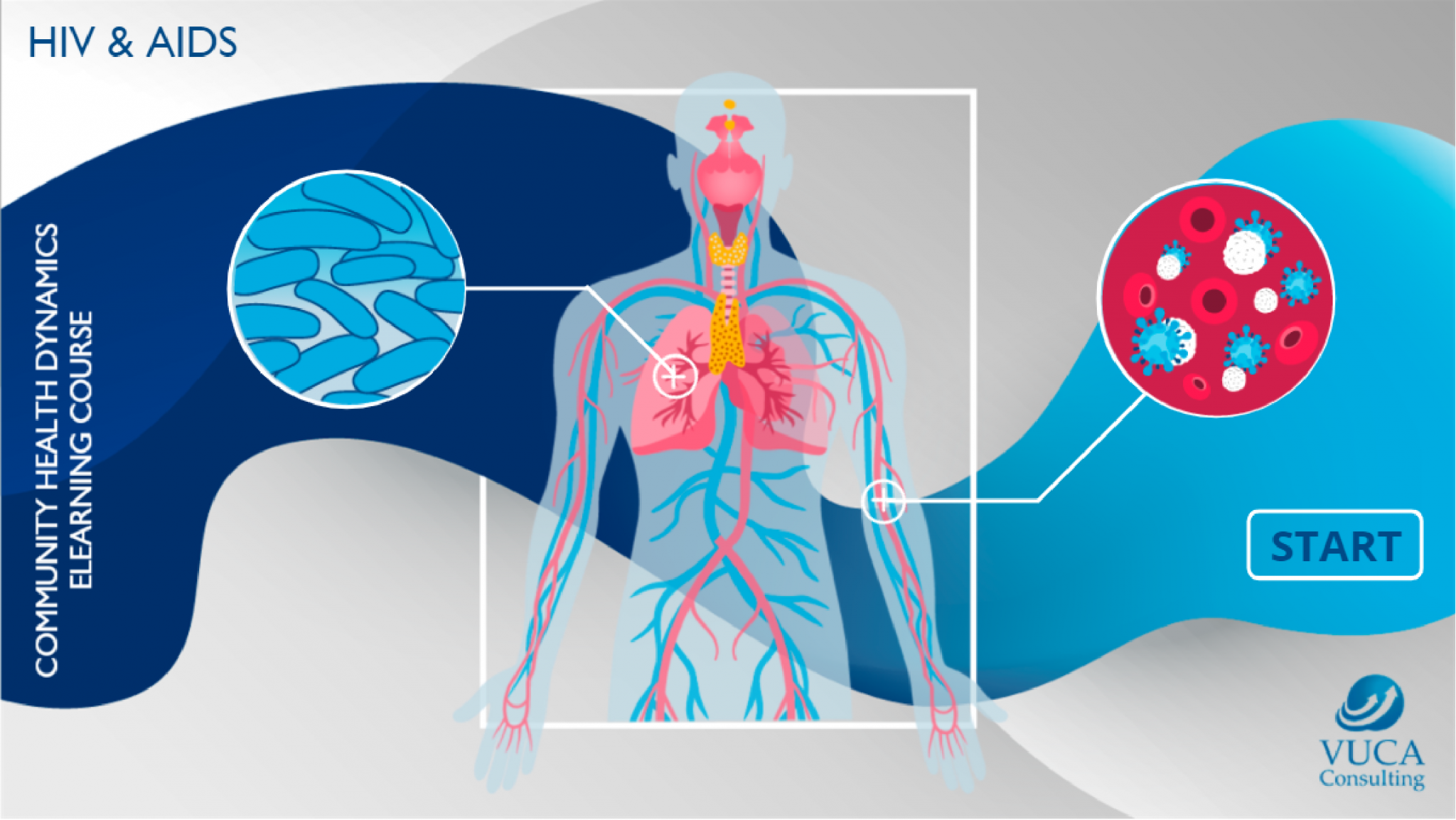 All Courses – VUCA DEMO Learn